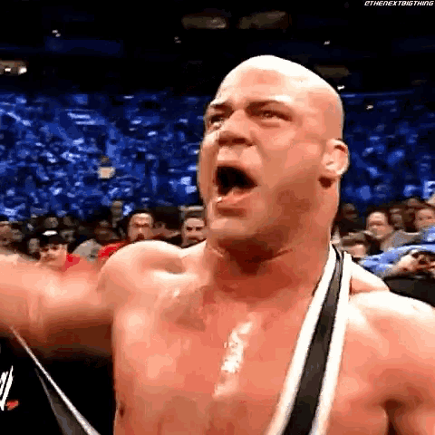 Maxine Wwe Gif Wwe Divas Gifs Page 15 | WiffleGif