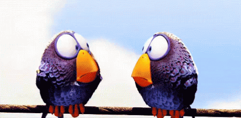 Messing Around GIF - Messingaround Silly Birds GIFs | Say more with Tenor