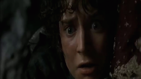 No Frodo GIF - No Frodo LordOfTheRings - Discover & Share GIFs