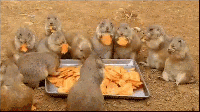 Snack GIF - Snack GIFs | Say more with Tenor