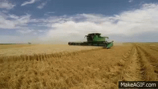 Harvest GIF - Harvest GIFs | Say more with Tenor