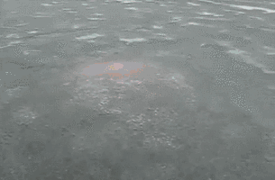 Ice Breaker GIF - Cold Ice - Discover & Share GIFs