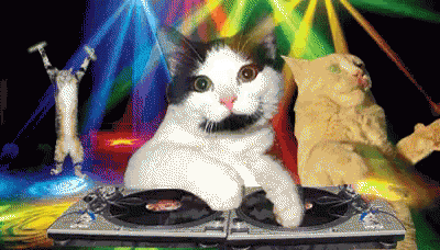 The Popular Dj GIFs Everyone's Sharing