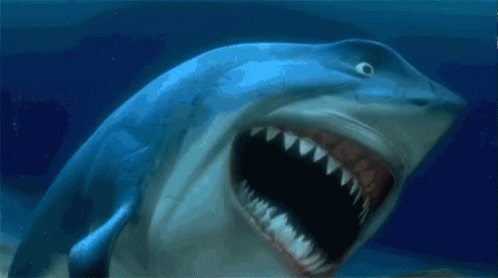 Bruce Nemo GIF - Bruce Nemo Laughing - Discover & Share GIFs
