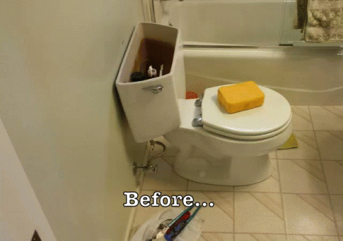 Clogged Toilet Gif