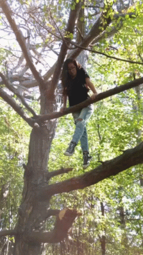 Tree Climb GIF - Tree Climb - Discover & Share GIFs