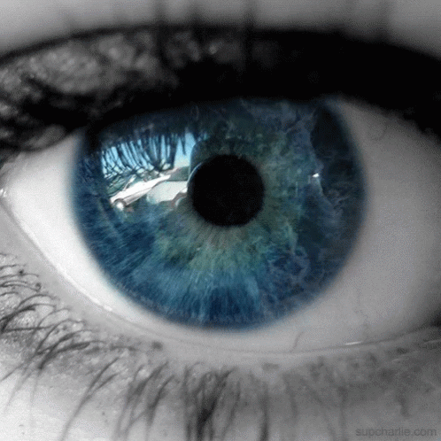 Eyes Earth GIF - Eyes Eye Earth - Discover & Share GIFs
