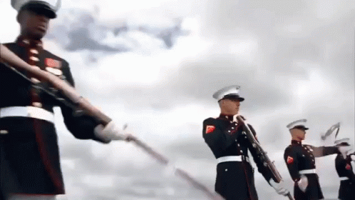 Us Army Marines GIF - Army Marines - Discover & Share GIFs