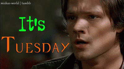 The popular Tuesday GIFs everyone's sharing