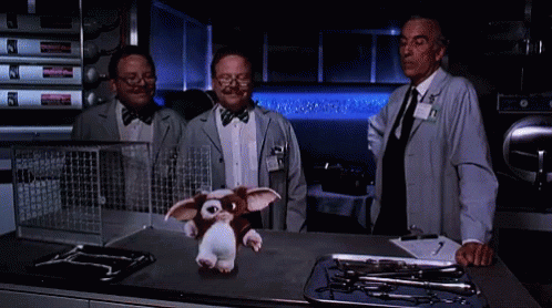 Dancing Happy GIF - Dancing Happy Gremlins GIFs | Say more with Tenor