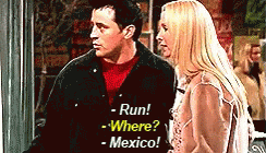 Popular Friends Run GIF - Friends Run Mexico - Discover & Share GIFs