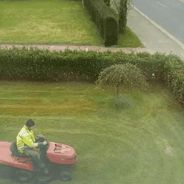 Busy Bee GIF - Busy Bee Work - Discover & Share GIFs