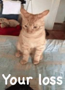Your Loss GIF - Yourloss Cat - Discover & Share GIFs