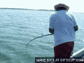 Fish Flopping GIF - Fish Flopping Funny - Discover & Share GIFs