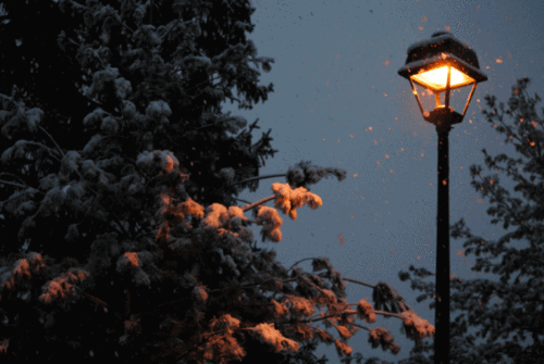 Winter Weather GIF - Winter Seasons Snowing GIFs | Say more with Tenor