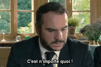 C'est N'importe Quoi ! GIF - Nimportequoi - Discover & Share GIFs