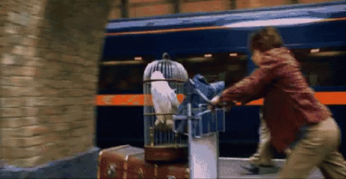 Brick Wall GIF - Brick Wall Harrypotter - Discover & Share GIFs