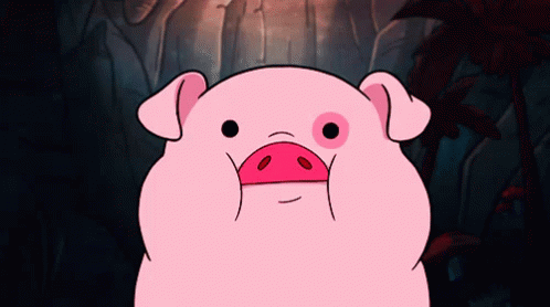 Blink GIF - Pig Pigs Piggy - Discover & Share GIFs