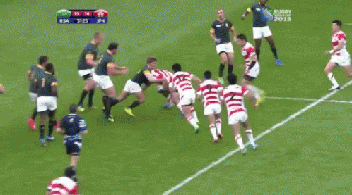 Goromaru GIF - Rugby Goromaru - Discover & Share GIFs