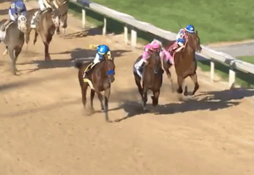 Kentucky Derby GIF - KentuckyDerby Horse Jockey - Discover & Share GIFs