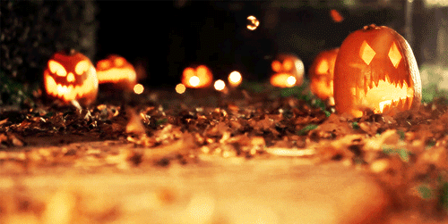 Popular Halloween Halloween Pumpkin Jackolantern Discover And Share S