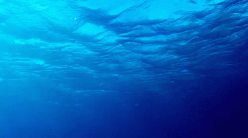 Ocean Blue Water GIF - Blue Ocean Oceanblue - Discover & Share GIFs