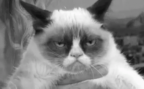 Ugh GIF - Grumpycat Tartarsauce Grumpy GIFs | Say more with Tenor