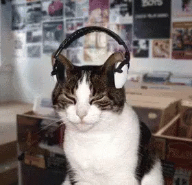 Cat Jamming GIF - Cats Headphones - Discover & Share GIFs
