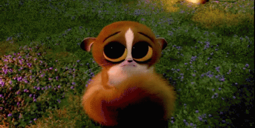Mort GIF - Madagascar Mort Fluff GIFs | Say more with Tenor