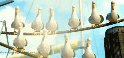 Mine Birds GIF - Mine Birds Seagulls - Discover & Share GIFs