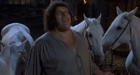 Princessbride Hello GIF - Princessbride Hello Lady GIFs | Say more with ...
