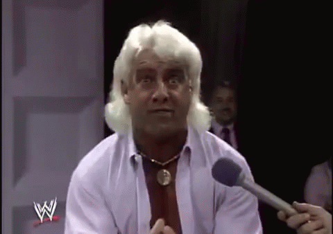 Ric Flair GIF - Ric Flair Nature - Discover & Share GIFs