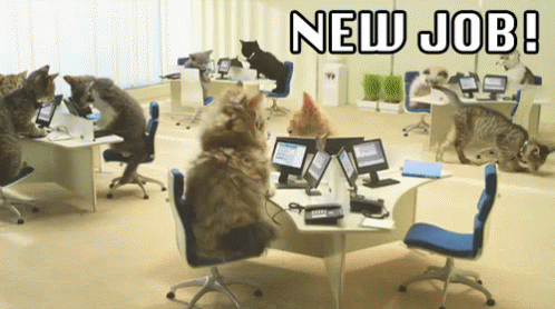 New Job GIF - NewJob - Discover & Share GIFs