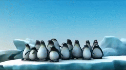 The Greatest Penguin Gifs On The Internet Public Radio