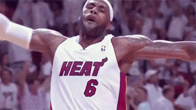 Celebration GIF - Celebration Heat Winner GIFs | Say more with Tenor