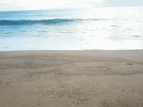 Playa GIF - Playa - Discover & Share GIFs