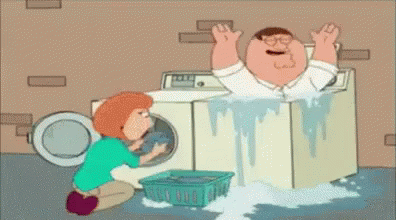 Riding The Washing Machine GIF - WashingMachine FamilyGuy Laundry ...