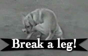 Break A Leg GIF - Breakaleg - Discover & Share GIFs