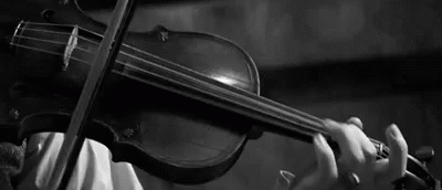 Violin GIF - Violin - Discover & Share GIFs