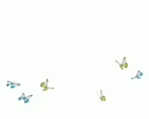 Butterfly Butterflies GIF - Butterfly Butterflies Flutter - Discover ...