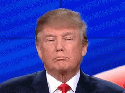 Trump Donald GIF - Trump Donald Ah - Discover & Share GIFs