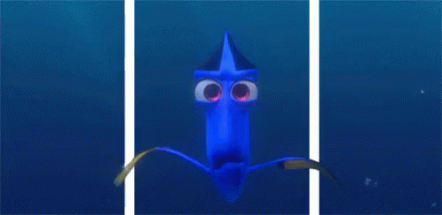 Huh Dory GIF - Huh Dory Findingnemo GIFs | Say more with Tenor