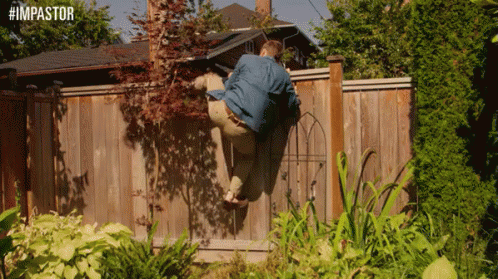 Fence Fall GIF - Impastor ImpastorGIFs - Discover & Share GIFs