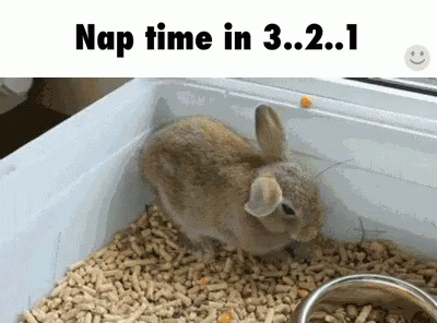 Nap Time GIF - Naptime GIFs | Say more with Tenor