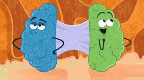 Brain GIF - Brain - Discover & Share GIFs