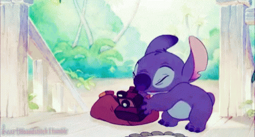 Picture Stitch GIF - Picture Stitch Liloandstitch - Discover & Share GIFs